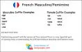 Learn Basic French - French Language Guide