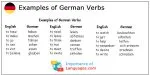 Learn Basics of German Grammar – German Language Grammar Guide
