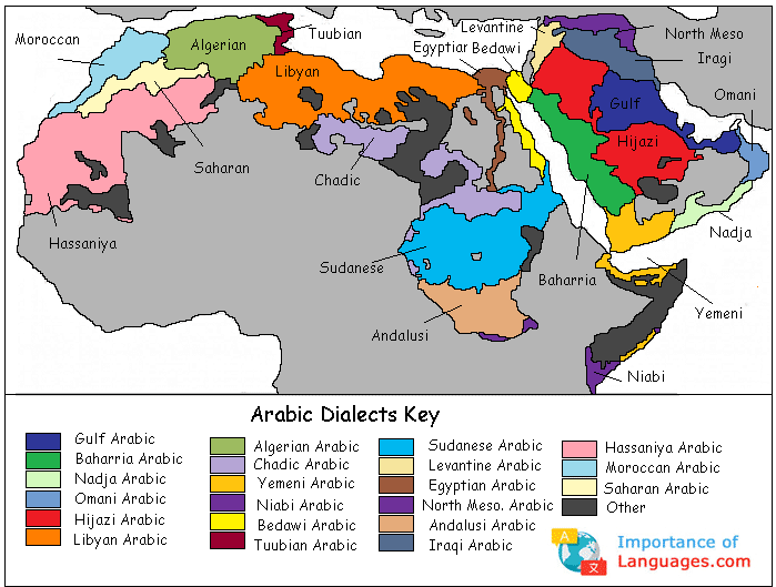 Importance of the Arabic Language Guide [2024]