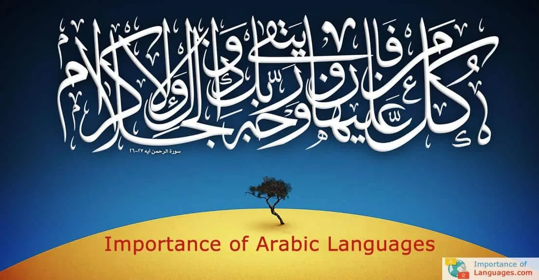 Importance of the Arabic Language Guide [2024]