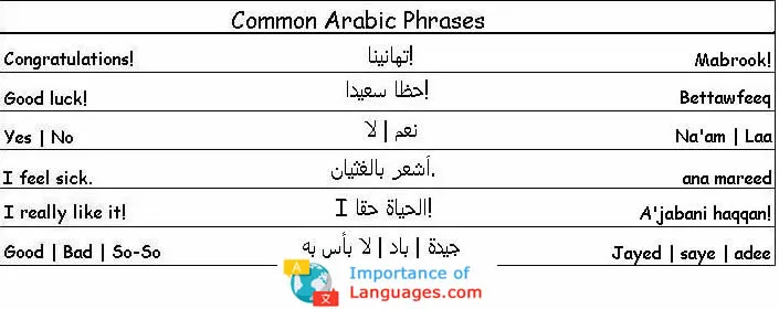 Learn the Arabic Language - Learn the Basic Arabic Language